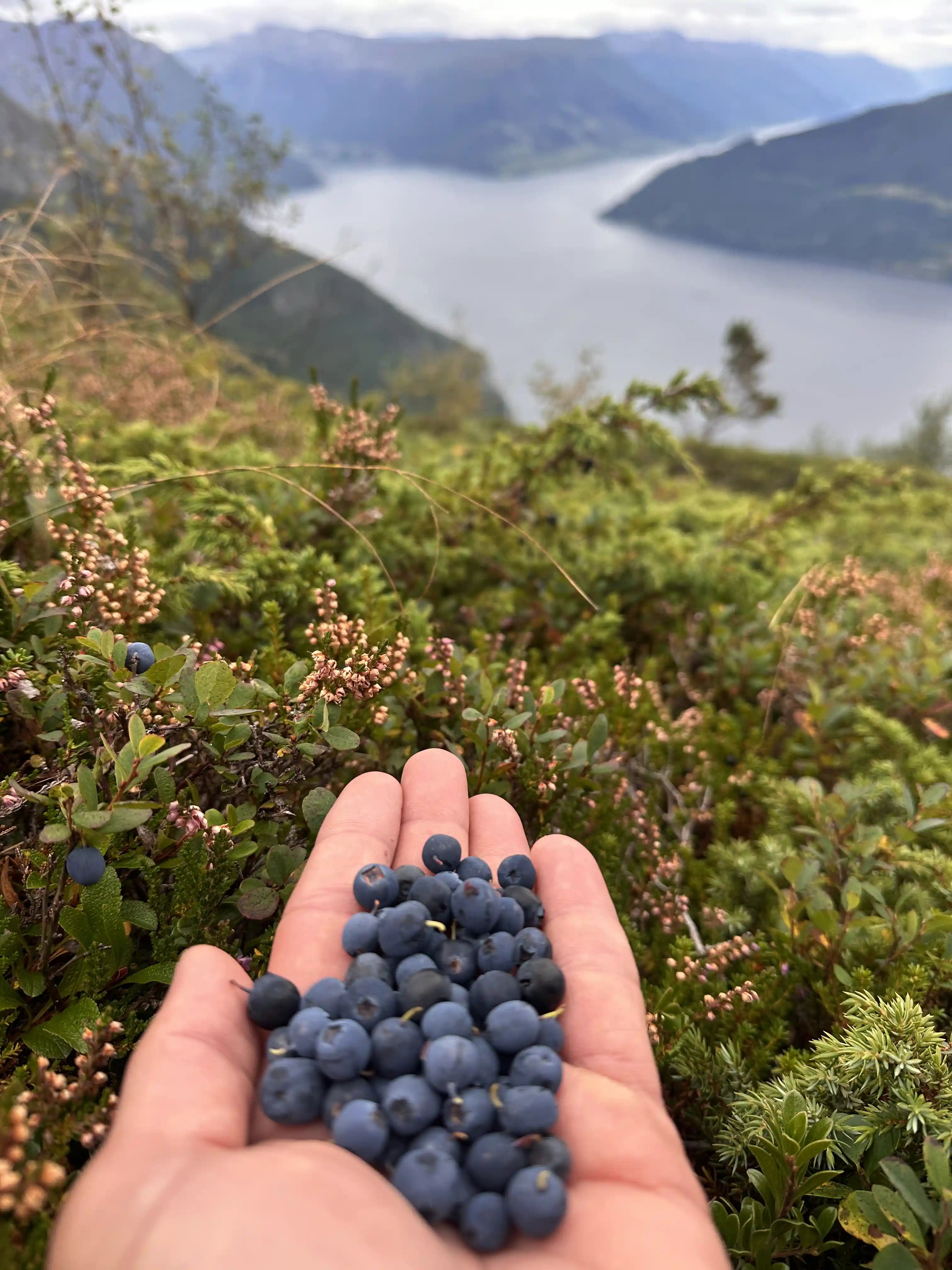 FJORD HIKING TRIP – Mount Oksen